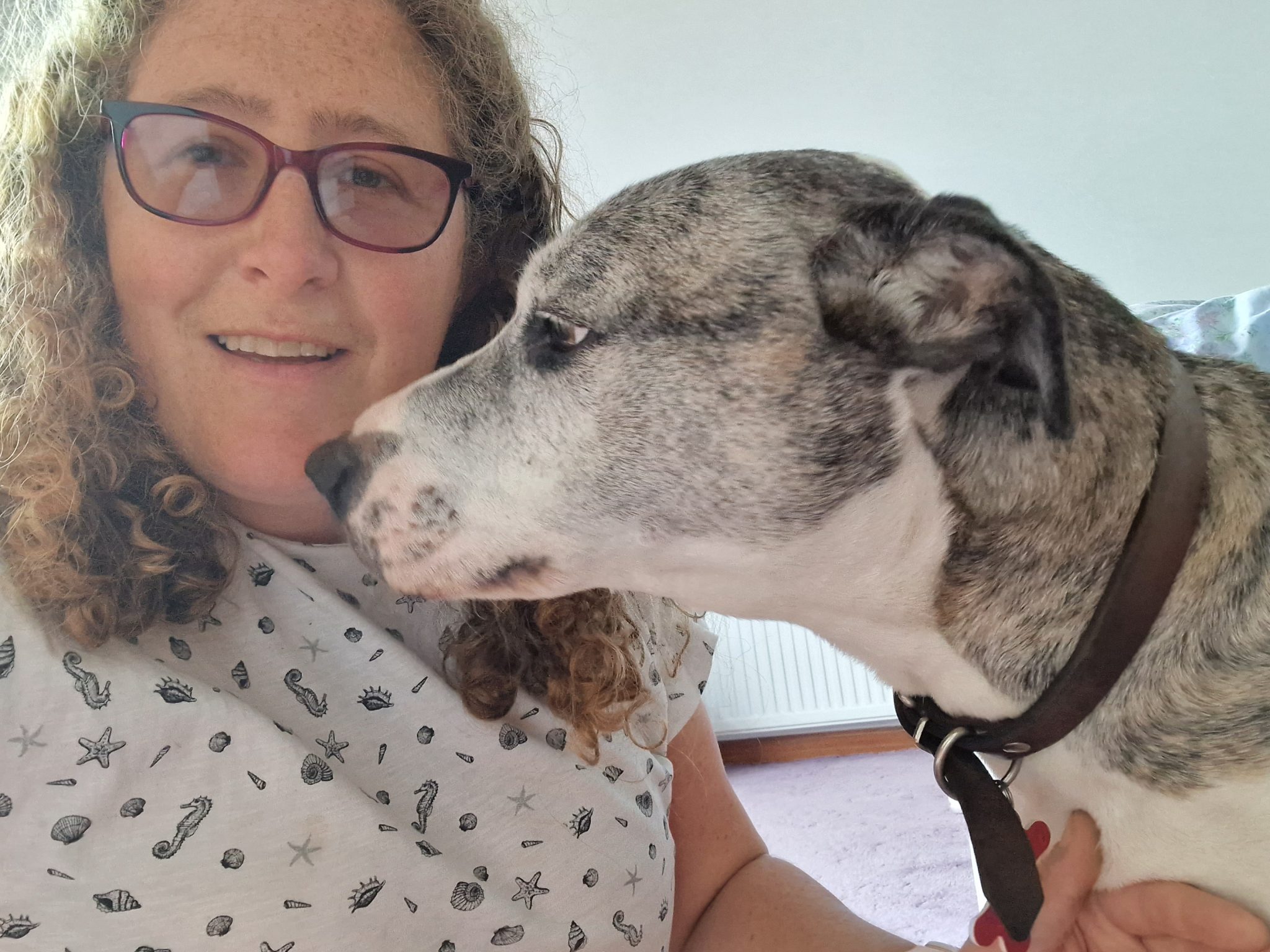 The Ultimate Scent Work Experience - Laura Carter Canines