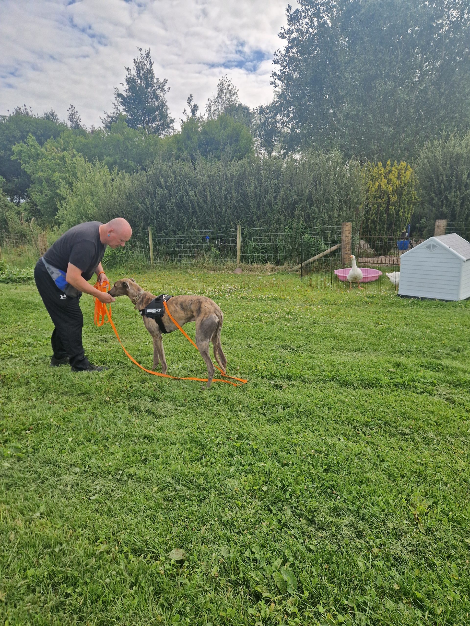 Dog Training - Laura Carter Canines